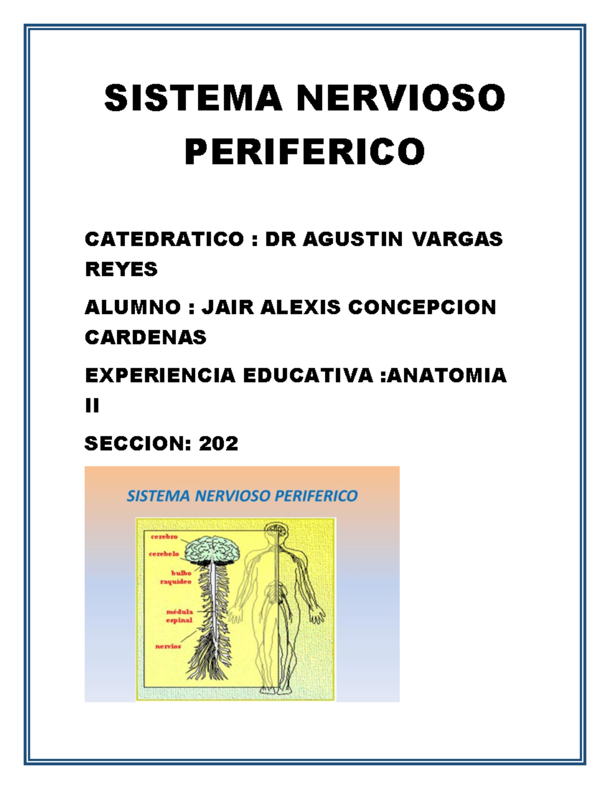 Presentacion sistema nervioso periferico - Warning: TT: undefined function: 32 SISTEMA NERVIOSO ...