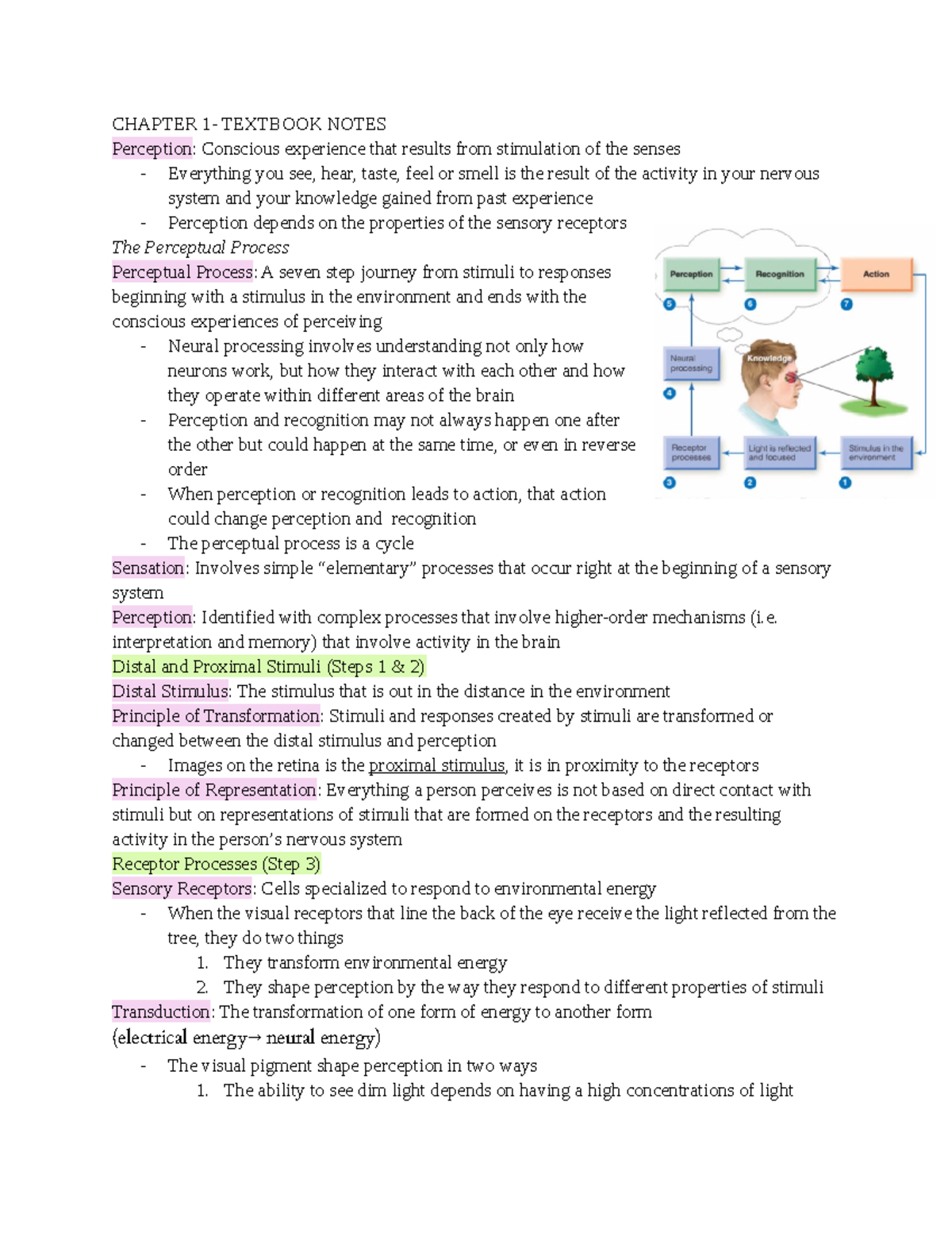 PS261 chpt 1-6 - Sensation and Perception - CHAPTER 1- TEXTBOOK NOTES ...