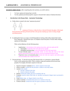 Answer - stuff - Chapter 1 The Human Body: An Orientation An Overview ...