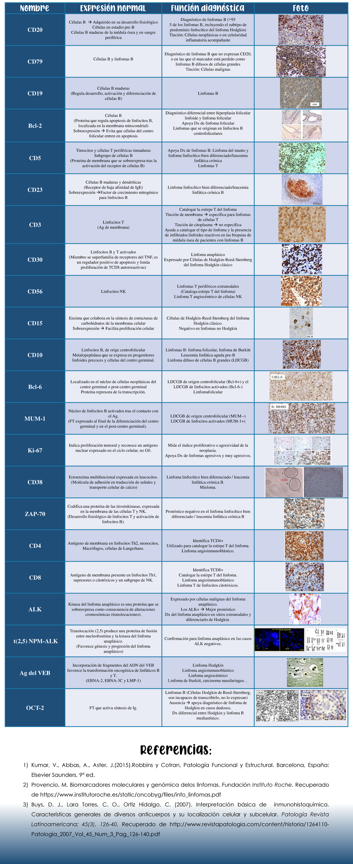 Lista de CD´s (Cluster of differentiation) - Nombre Expresión normal ...