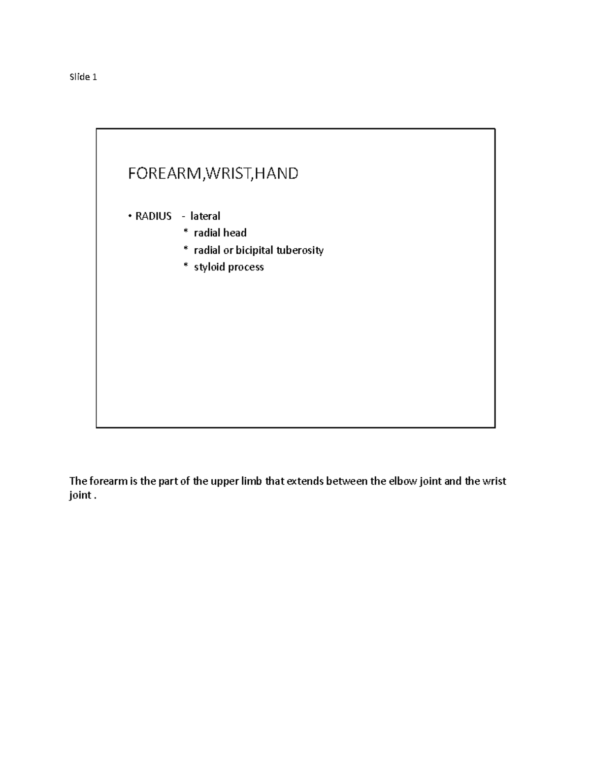 Forearm And Hand Anatomy Forearm Wrist Hand • Radius Lateral