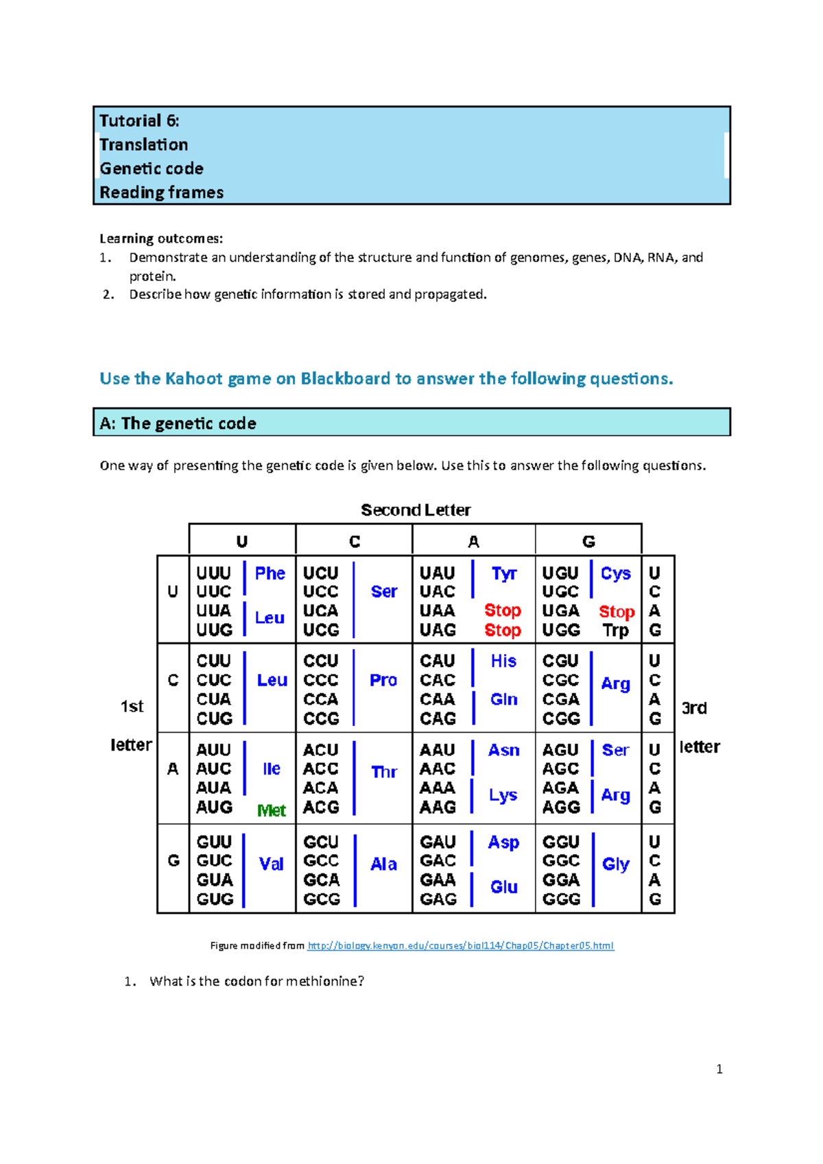 GENE603 Topic 06 Tutorial Protein Translation-1 - Tutorial 6 ...