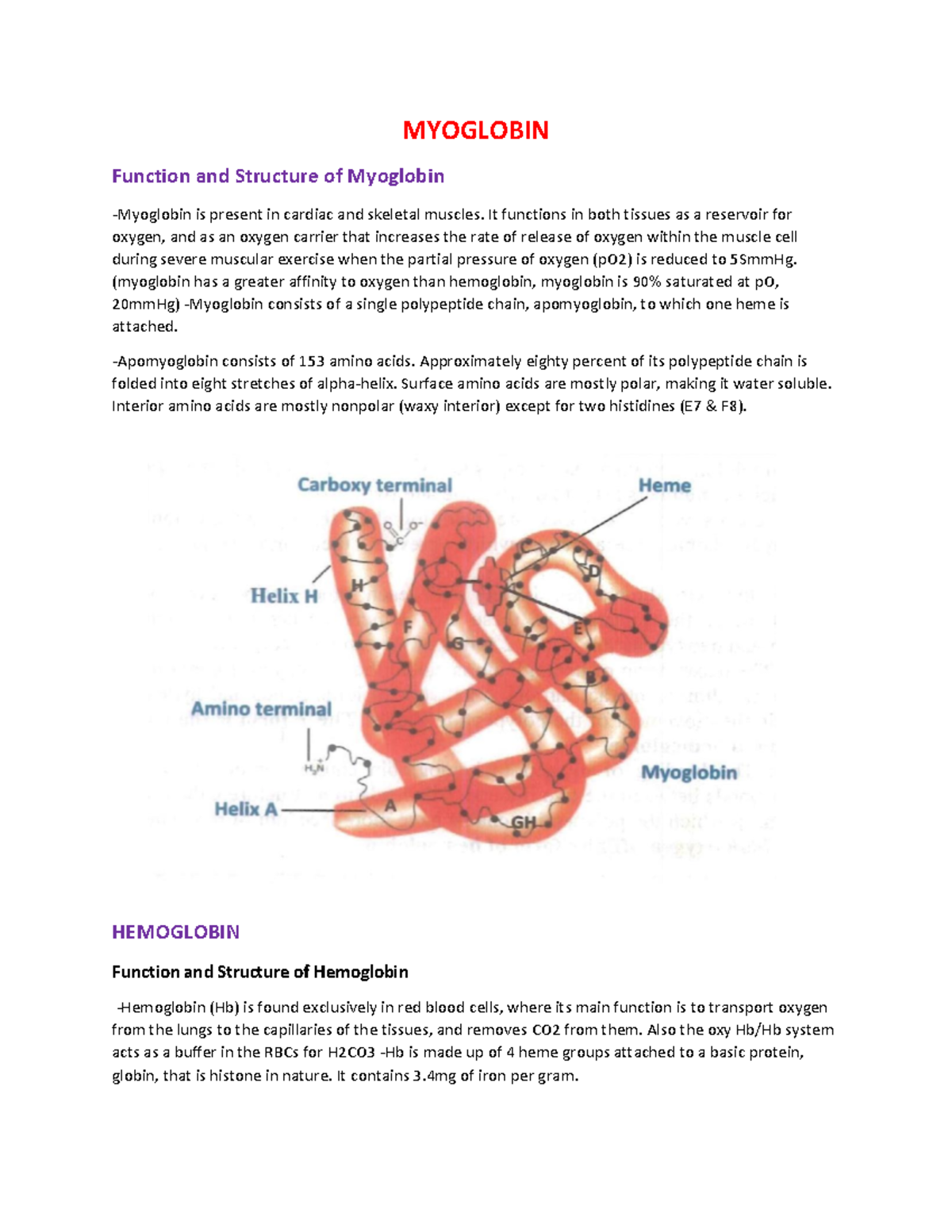 Myoglobin - MYOGLOBIN Function and Structure of Myoglobin -Myoglobin is present in cardiac and ...
