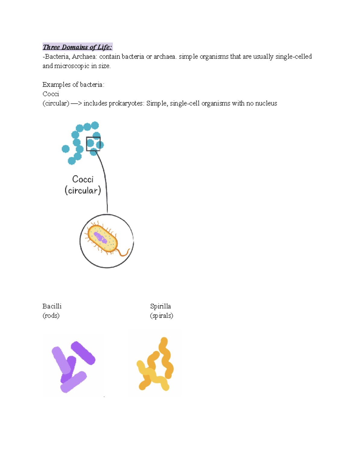 chapter 19 review exam practice - Three Domains of Life: -Bacteria ...