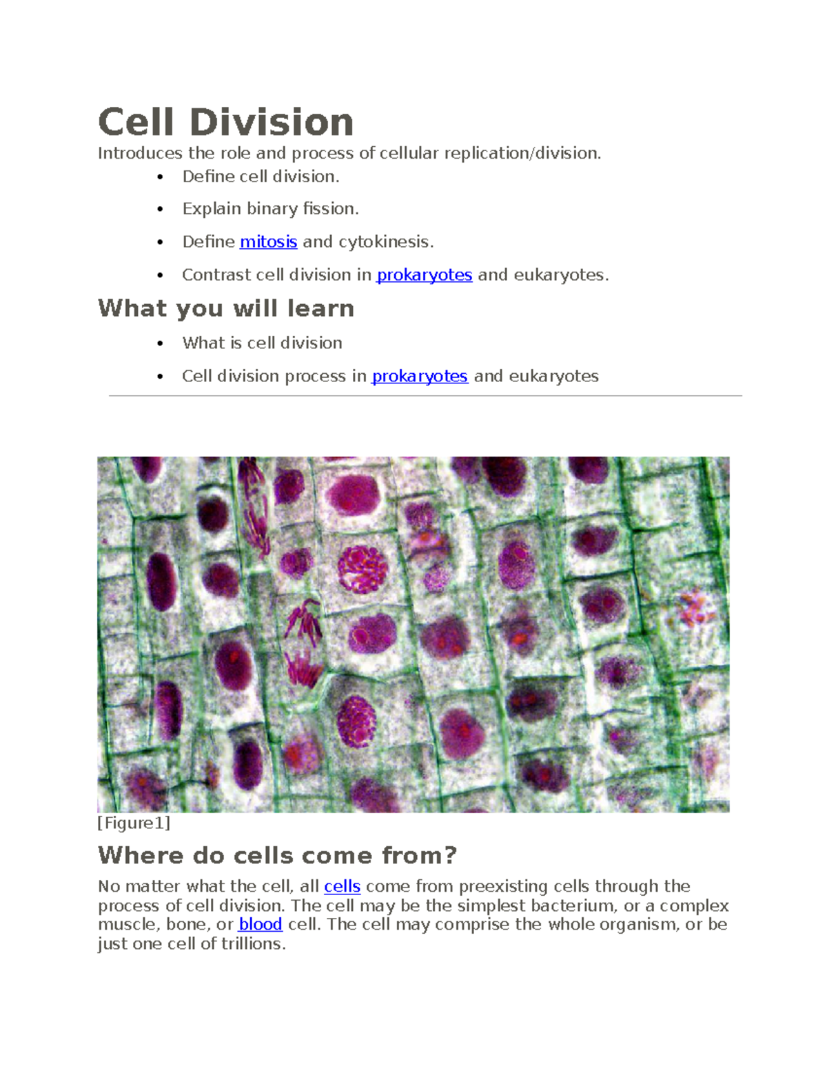Biology study guide PART 15 - Cell Division Introduces the role and ...
