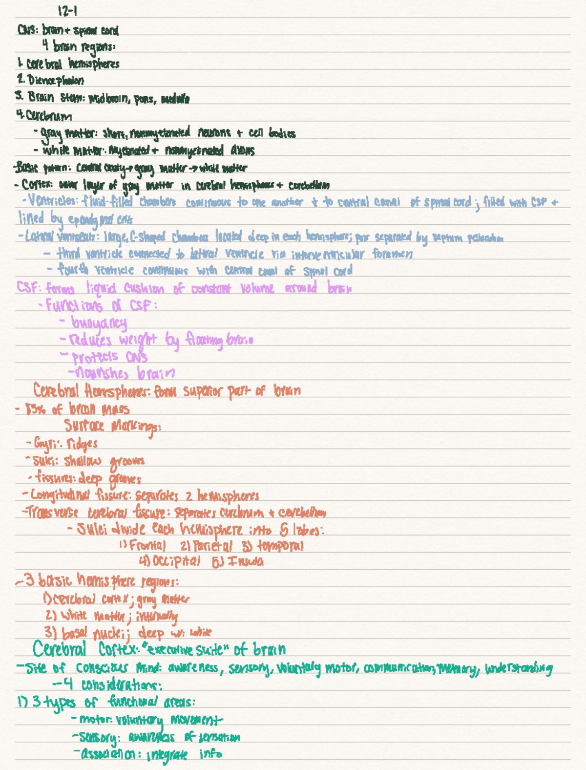 A&P Chapter Twelve - 121 CNSbrain spinalcord 4 brainregions 1 cerebral ...