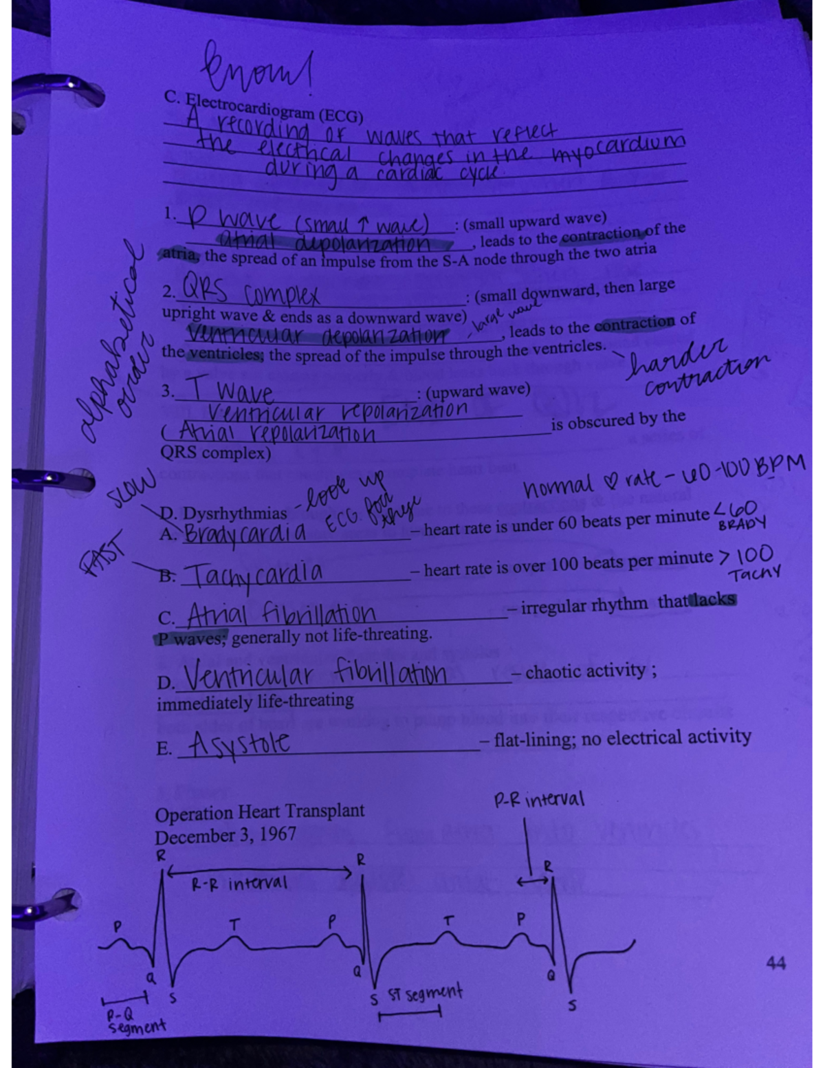 114 - Anatomy and Physiology II w/ Lab lecture notes and quiz notes ...