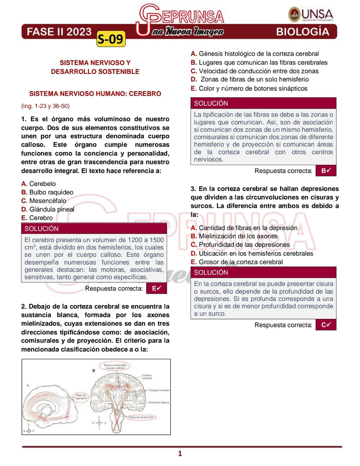 S- 09 Biología Ceprunsa 2DA FASE - EPRUNSA UNSA FASE II 2023 na Nueva Imagen BIOLOGÍA A. Génesis ...