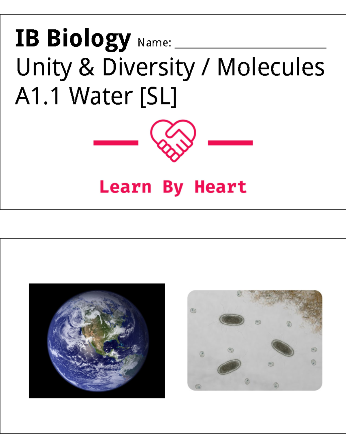 Biología apuntes - IB Biology Name ...