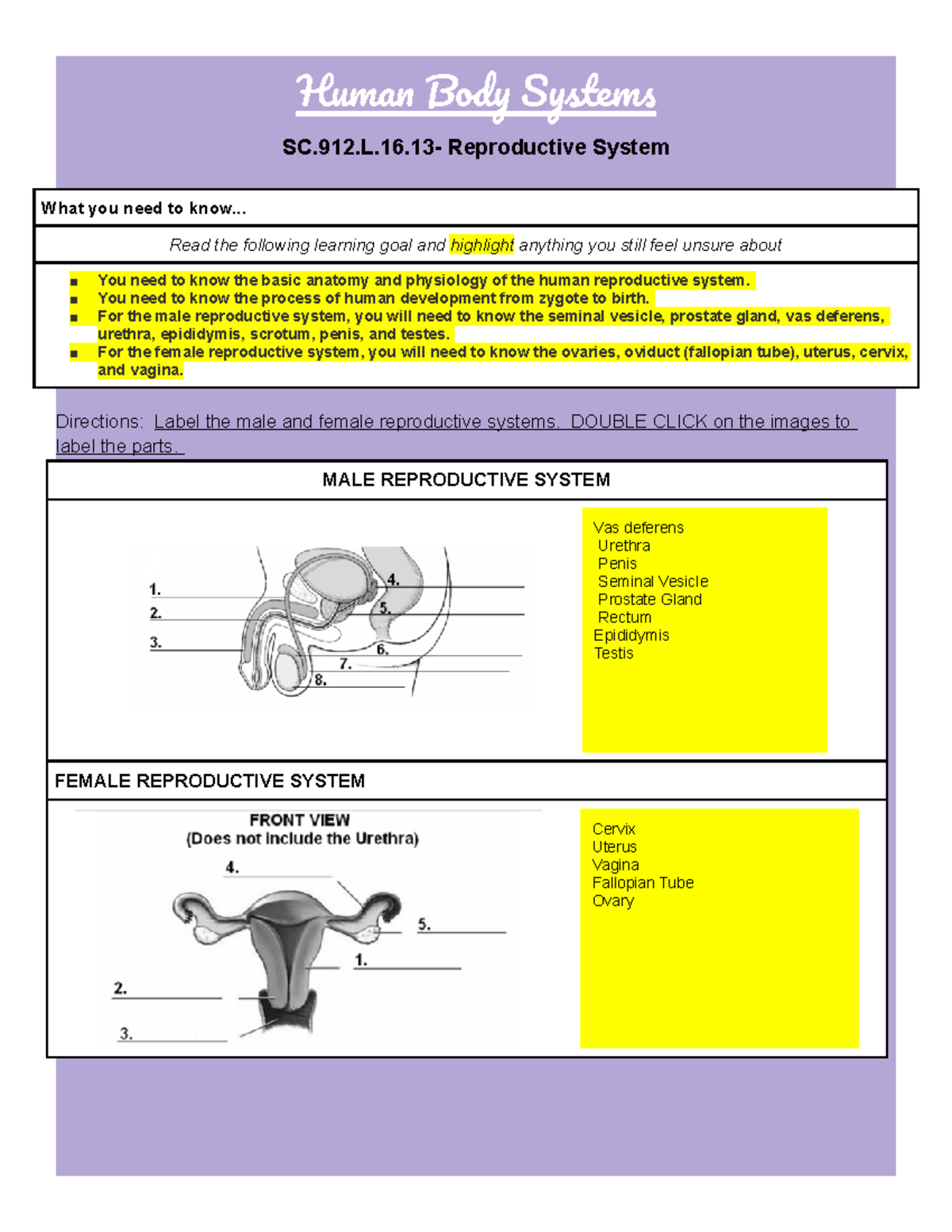 Body Systems- student - I got a 90 on this assignment - Human Body ...