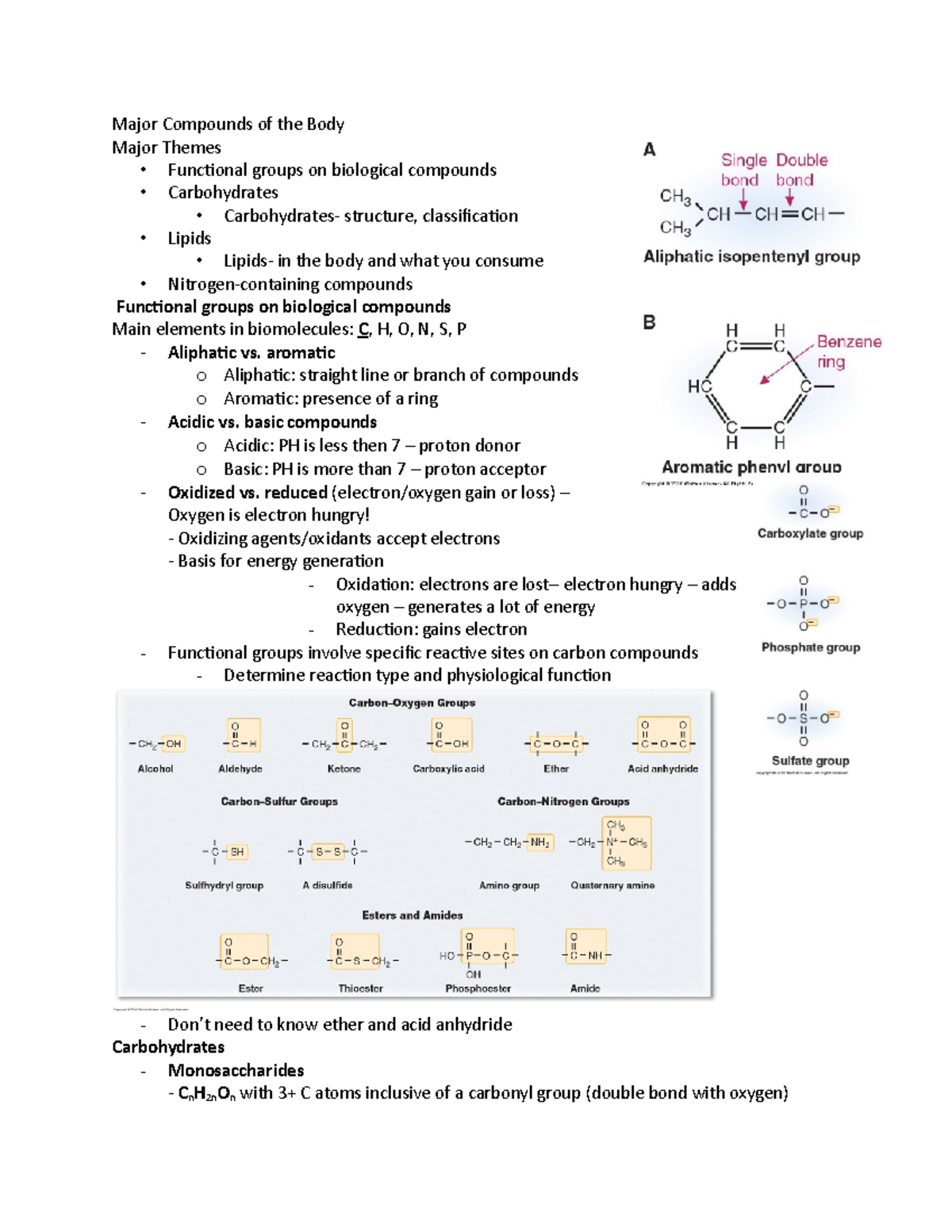 Lecture 1- Biochem - Major Compounds of the Body Major Themes ...