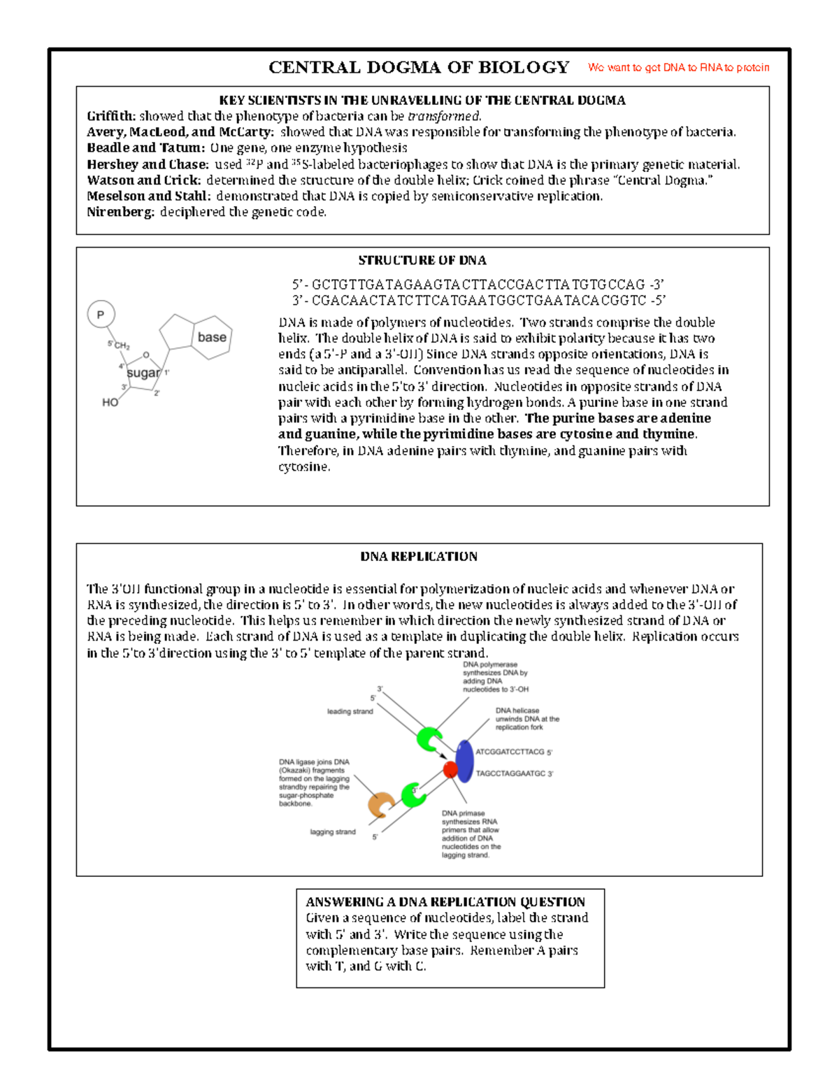 Cheat Sheet 7+Central Dogma - CENTRAL DOGMA OF BIOLOGY KEY SCIENTISTS ...
