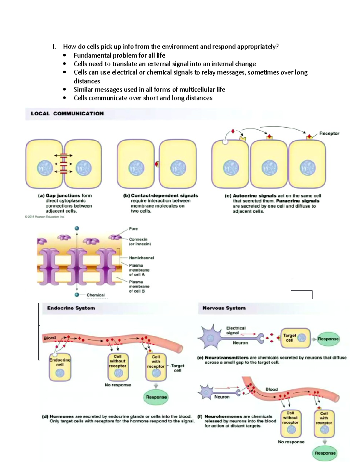 Lec 8 - Cell communication - I. How do cells pick up info from the ...