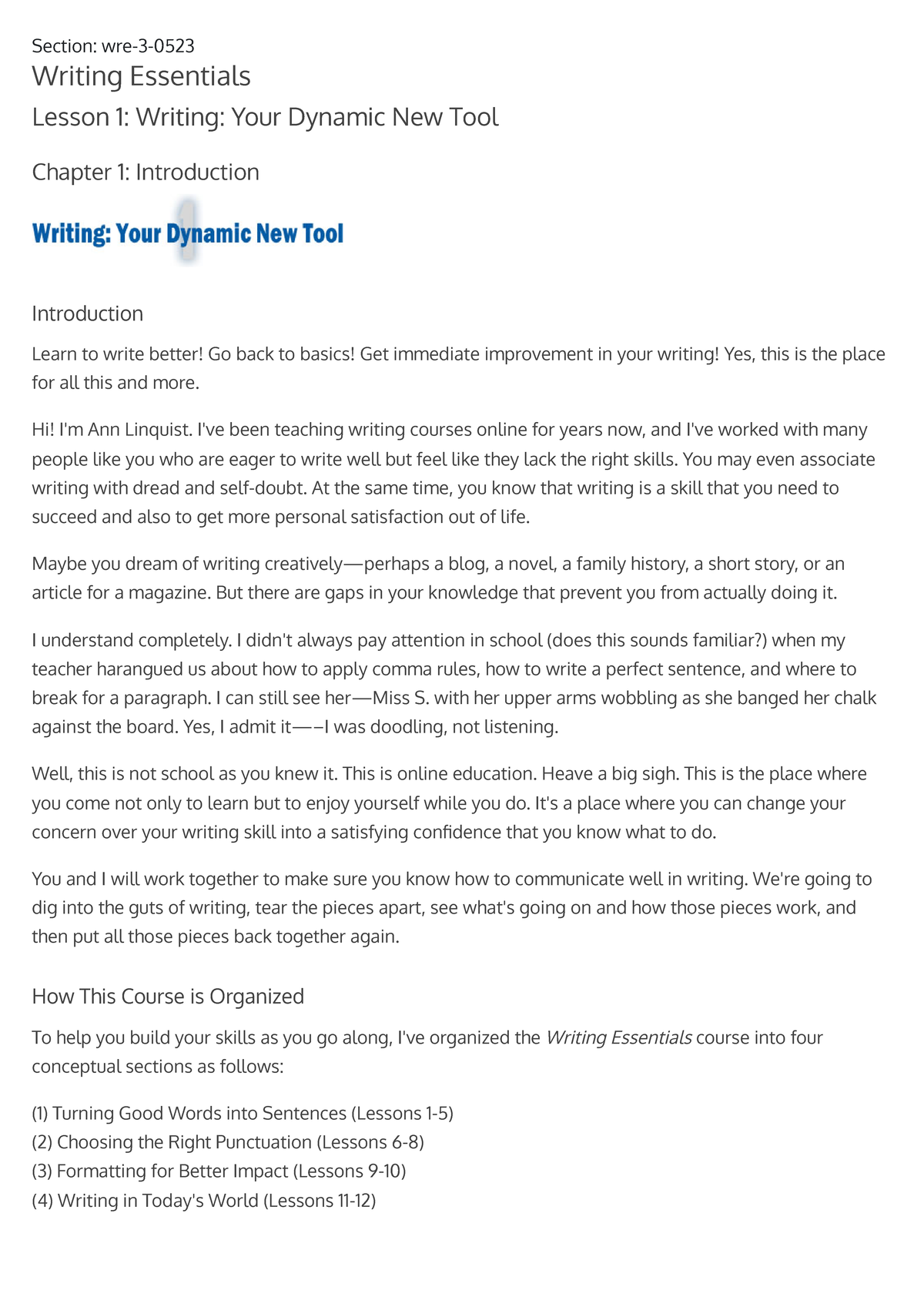 Writing Essentials – Lesson 1 Writing Your Dynamic New Tool - Section ...