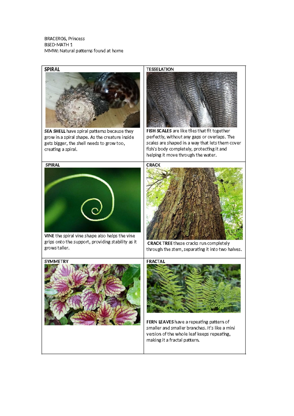 MMW - Activity 1 - BRACEROS, Princess BSED-MATH 1 MMW: Natural patterns found at home SPIRAL SEA ...