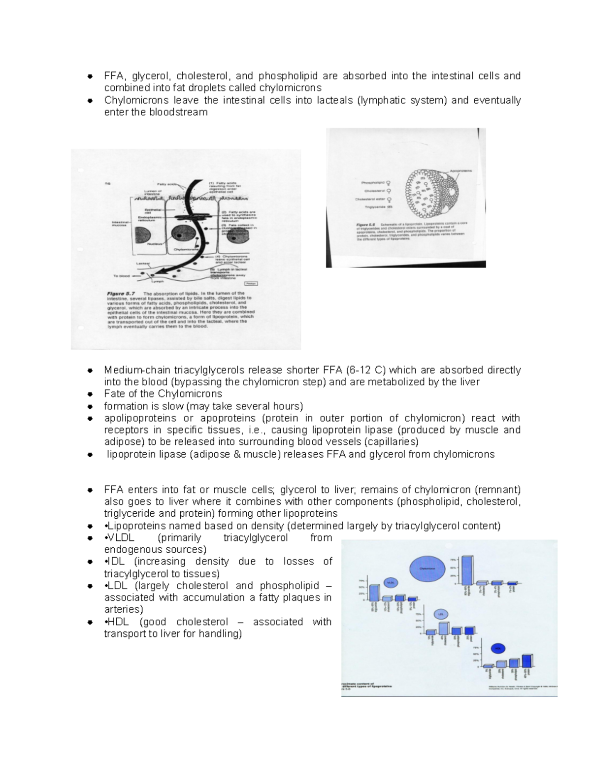Fats (Lipids) Part 4 - class notes - FFA, glycerol, cholesterol, and ...