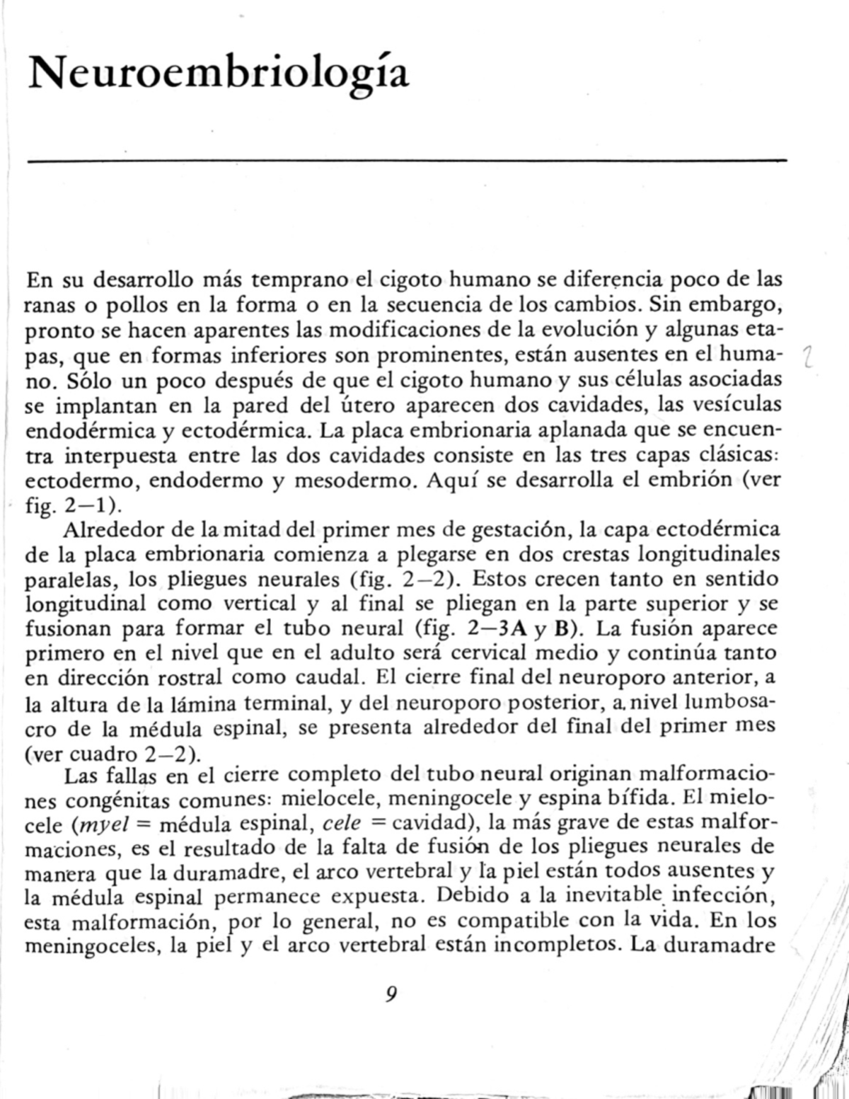 Neuroembriología - Proceso embriológico del origen del sistema nervioso ...
