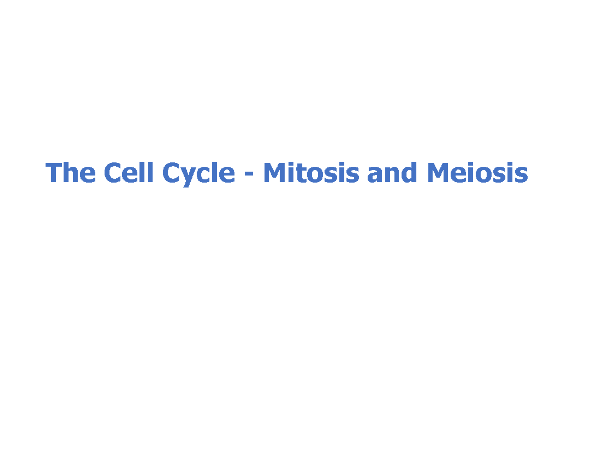 Lecture 4a Cell Cycle - Mitosis and Meiosis - The Cell Cycle - Mitosis ...