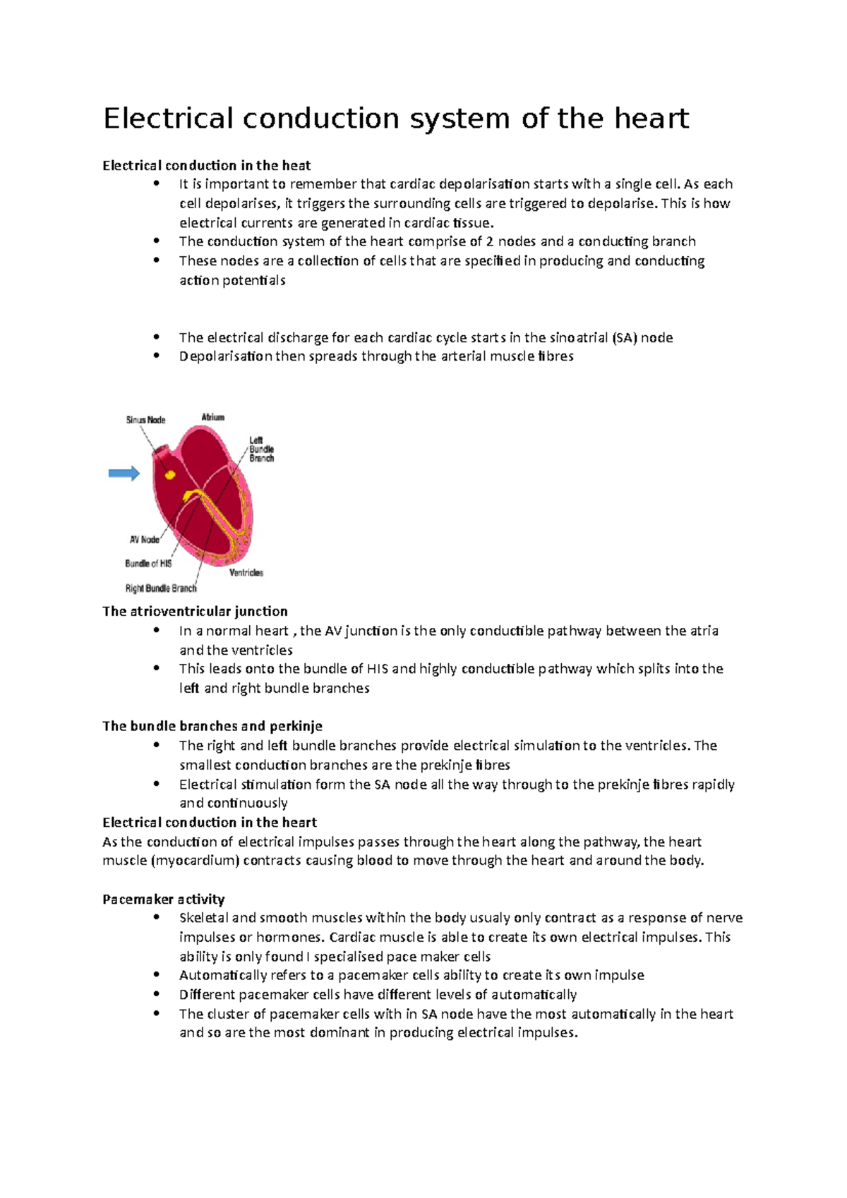 Electrical conduction system of the heart - Electrical conduction ...