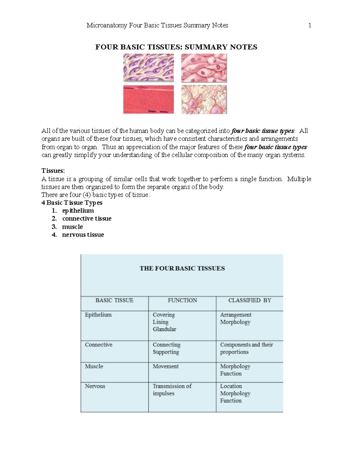 4 basic tissues summary - FOUR BASIC TISSUES: SUMMARY NOTES All of the ...