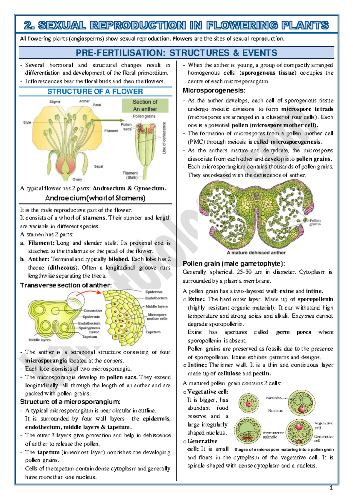 Sexual Reproduction in Flowering Plants Notes - All flowering plants ...