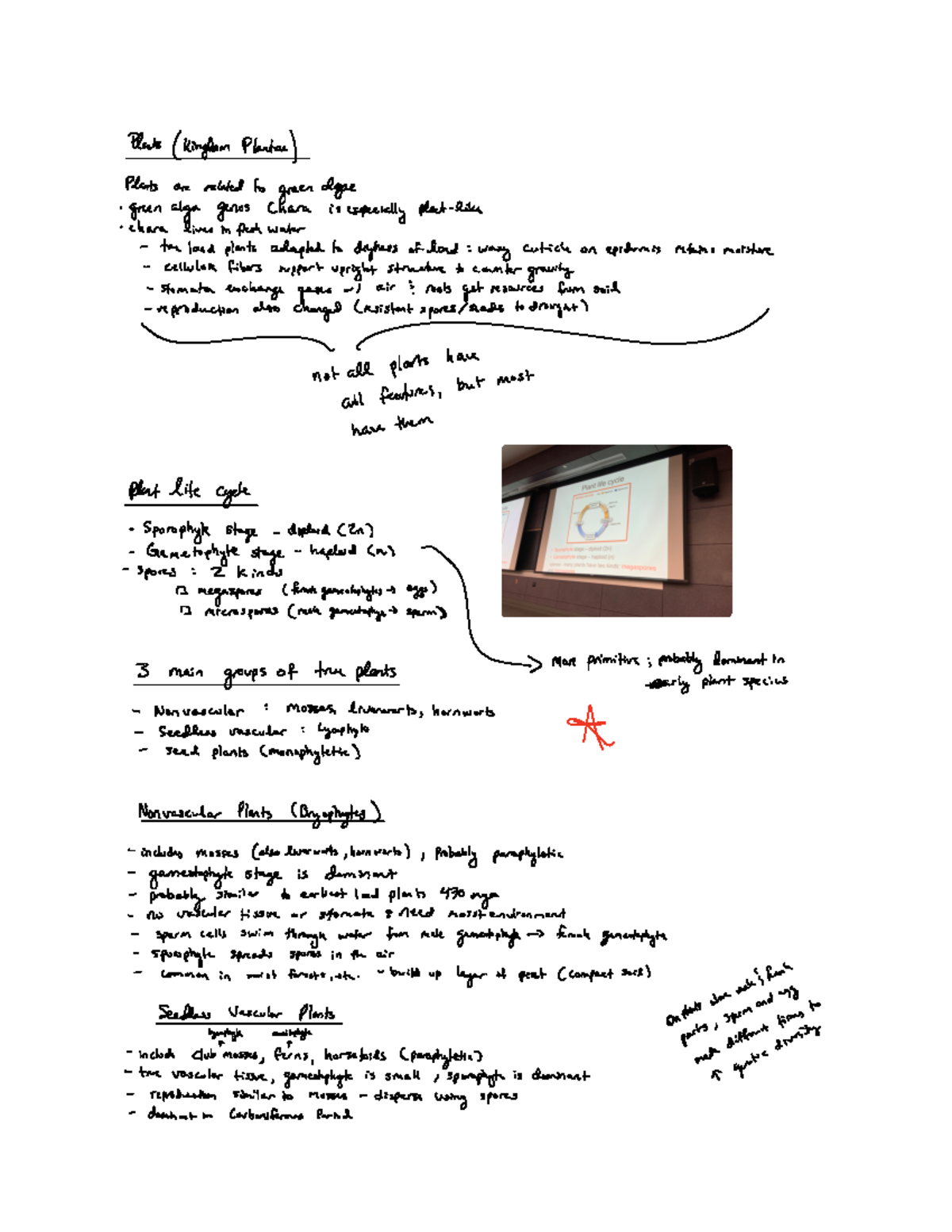 plants lecture notes - Plants KingdomPlantae Plants arerelatedto green ...