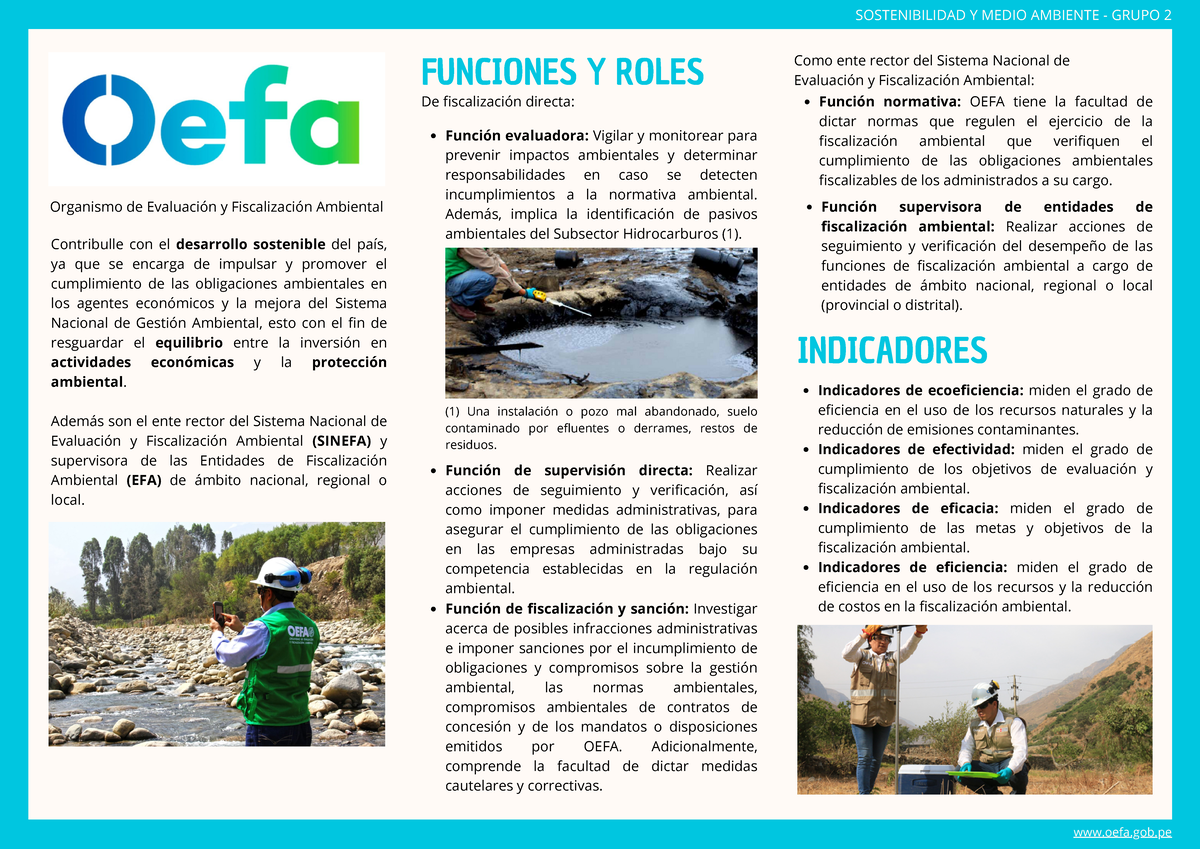 OEFA- Grupo 2 - infografia - Organismo de Evaluación y Fiscalización ...