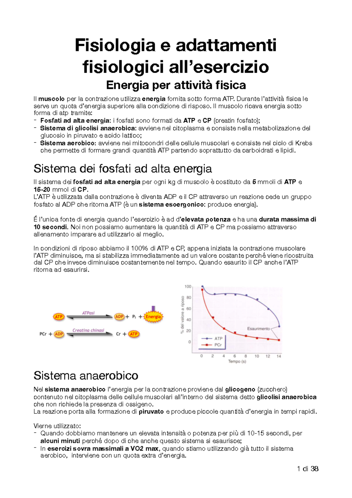 Fisiologia e adattamenti fisiologici all’esercizio T - Fisiologia e ...