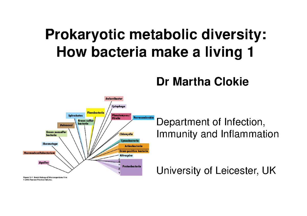 Lecture notes, Prokaryotic metabolic diversity: How bacteria make a ...