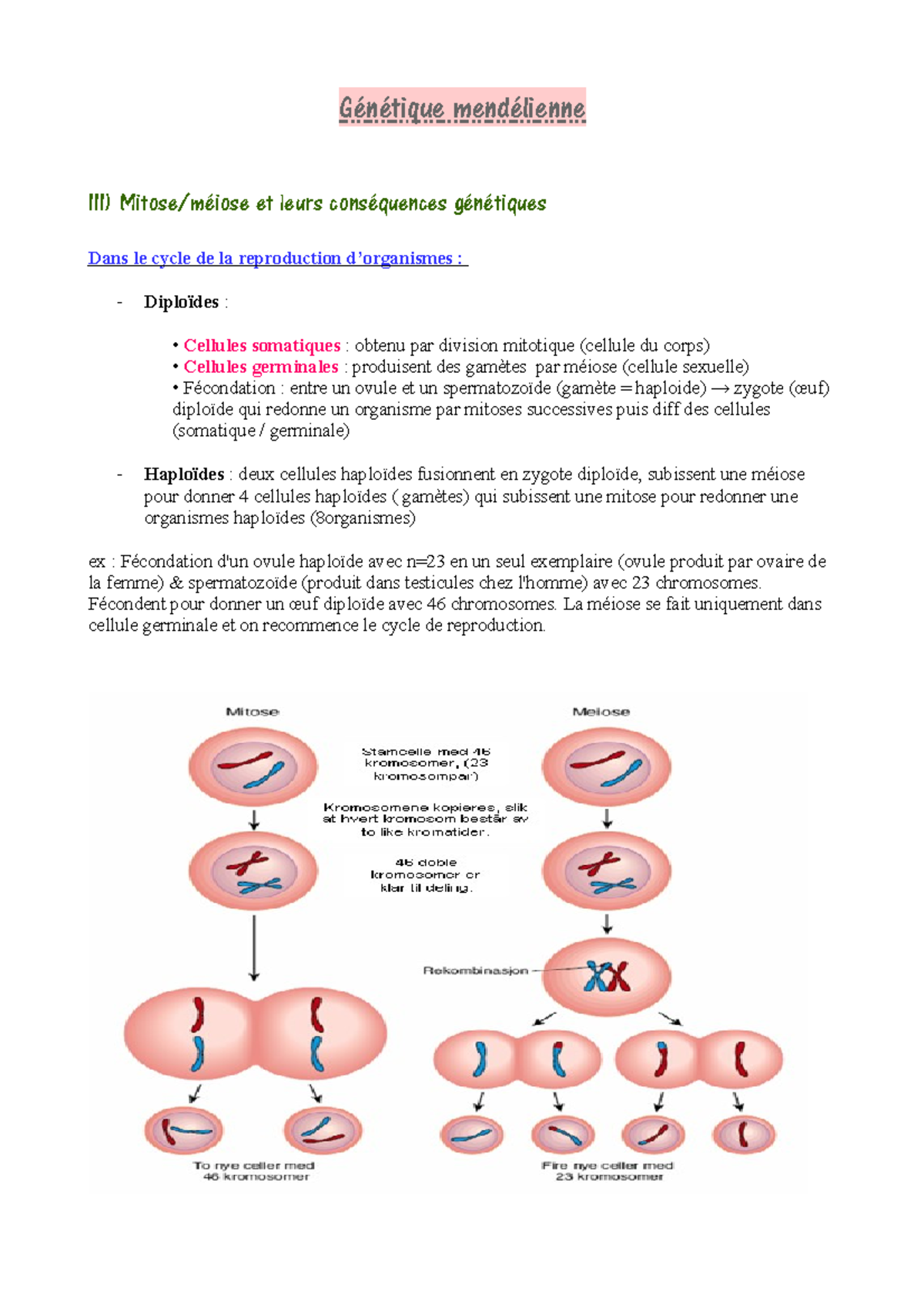 La mendelienne - partie 2 - Warning: TT: undefined function: 32 ...