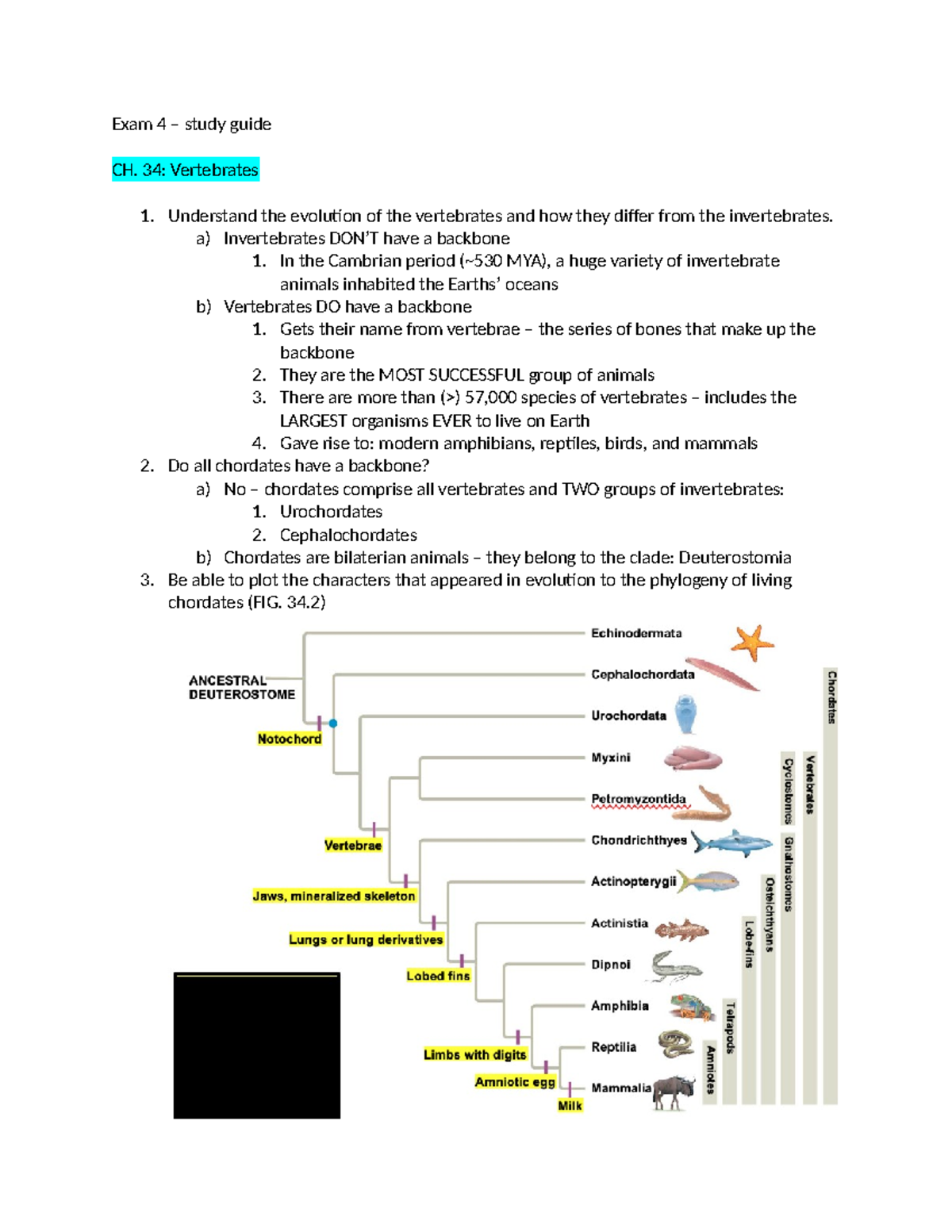 Exam 4 study guide - Exam 4 – study guide CH. 34: Vertebrates 1 ...