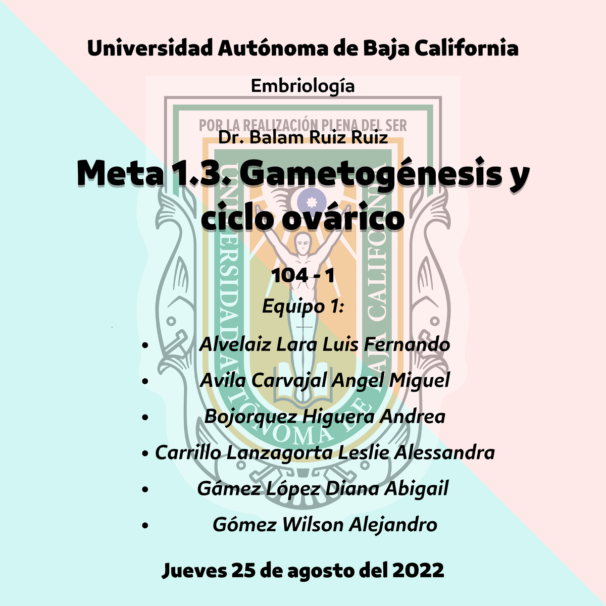 Meta+1 - diagrama que explica el proceso de gametogénesis y la ...