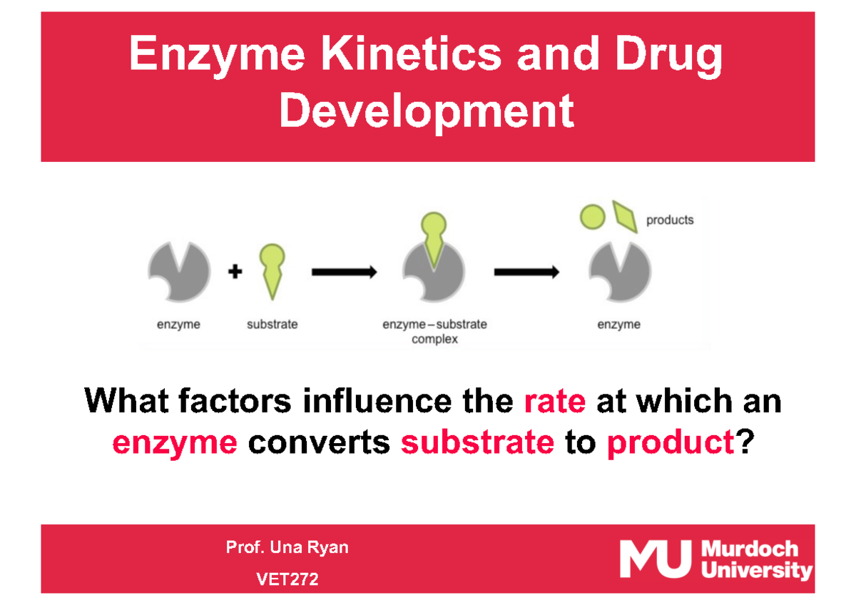 2 Enzymes-2-Kinetics - Enzyme Kinetics and Drug Development What ...