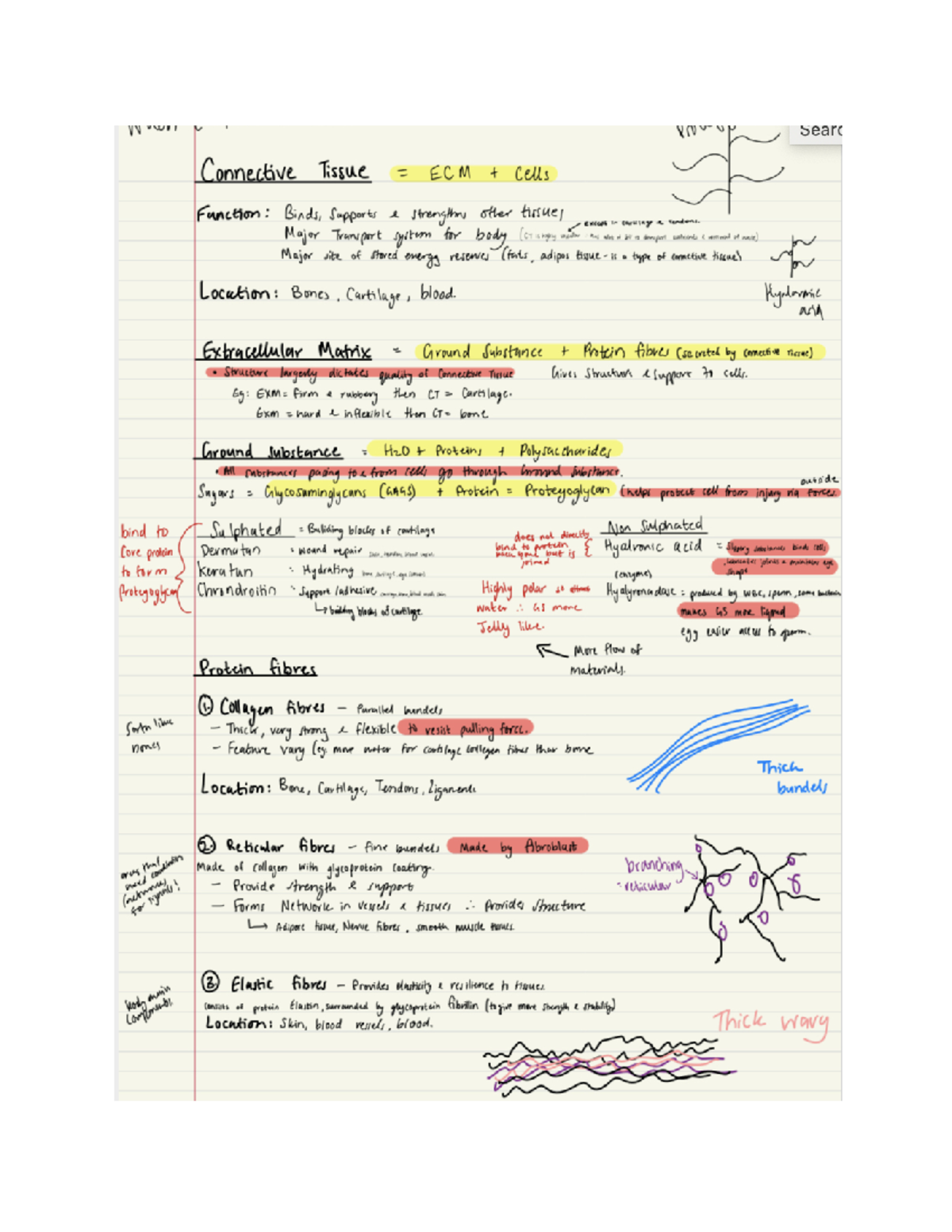 Biosci 107 - notes - Biology for Biomedical Science: Cellular Processes ...