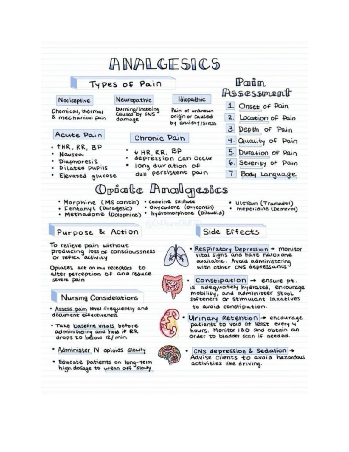Mindmap - PSYC 050 - mindandconceptmaps/2022/05/concept-map-template ...