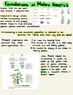 Inheritance - lecture by Dr. Rachel Woodruff - BIOL 14A - Studocu
