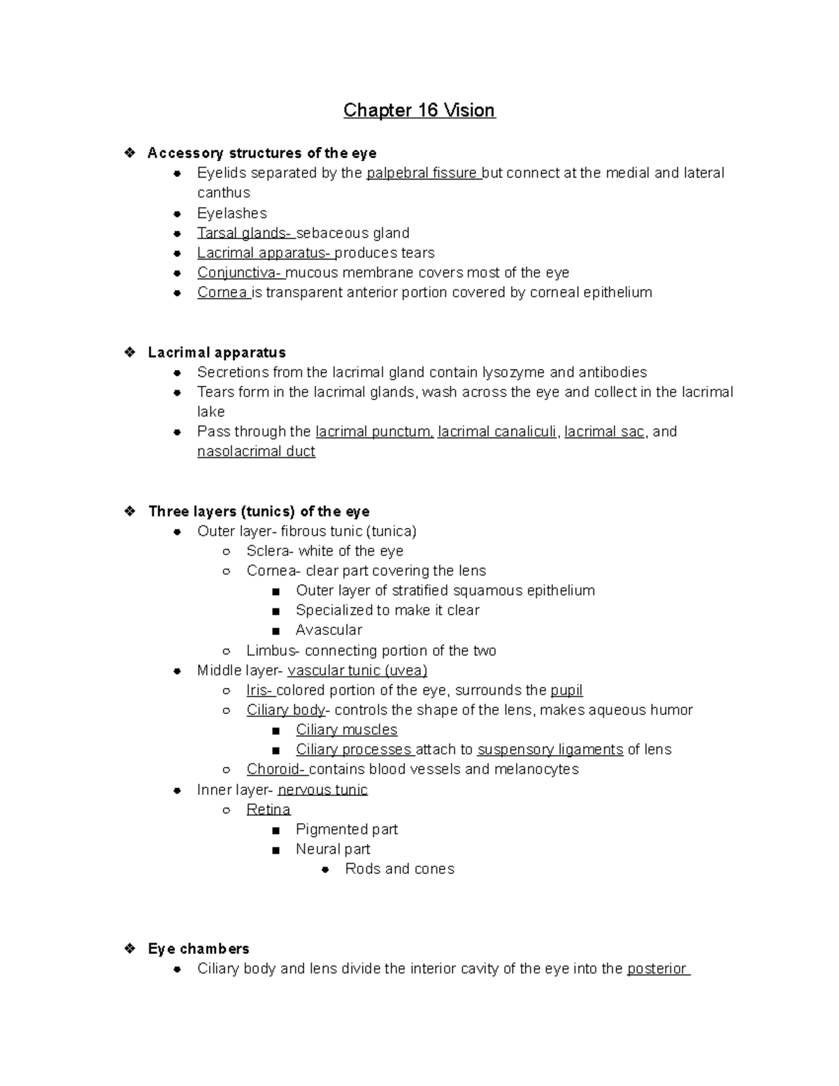 Ch. 16 Notes Vision - Chapter 16 Vision Accessory structures of the eye ...