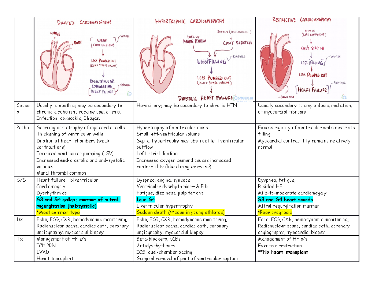 Cardiomyopathy Notes Types Of Cardiomyopathies Treatments Pathophys