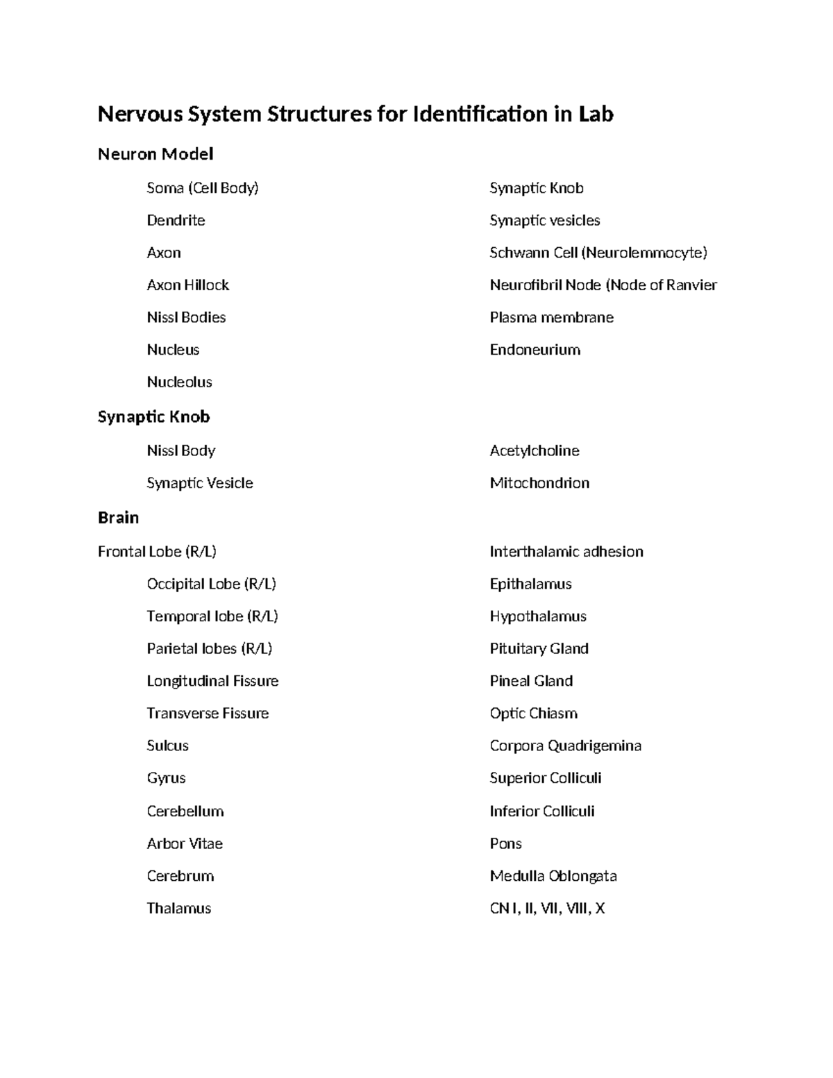 Nervous System Structuresfor Identificationin Lab - Studocu