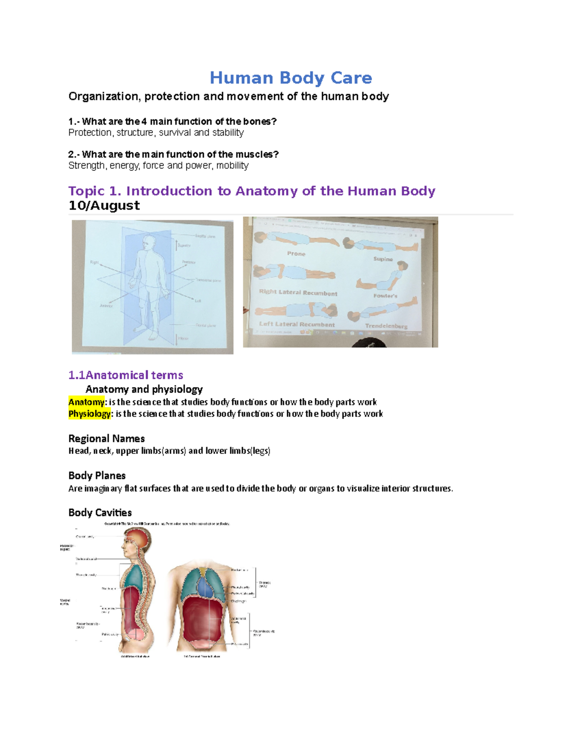 Human Body Care - Apuntes del curso - Human Body Care Organization ...