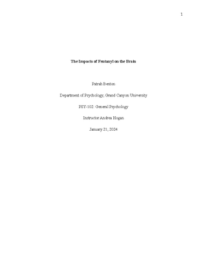 PBFinal Draft The Rapid Escalation in ADHD Diagnosis - The Rapid ...