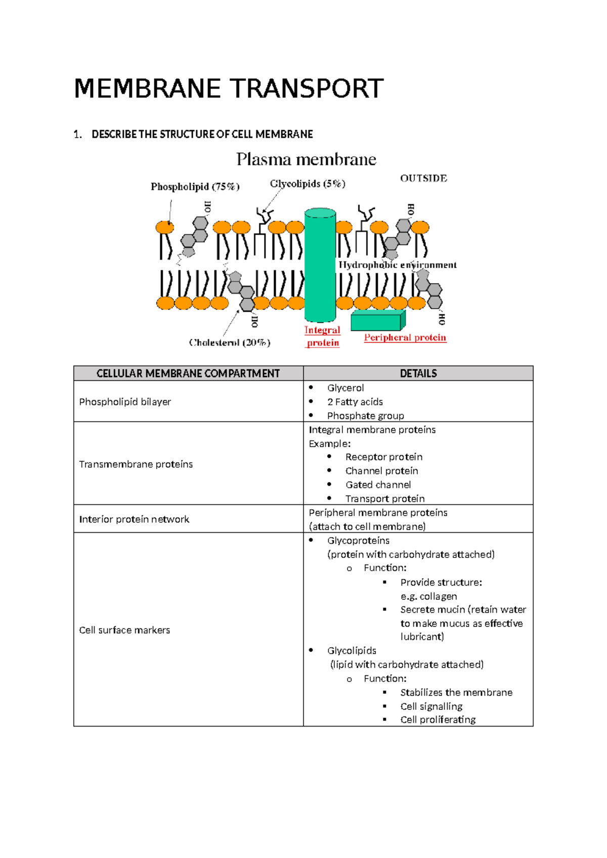 Summary membrane transport - MEMBRANE TRANSPORT 1. DESCRIBE THE ...