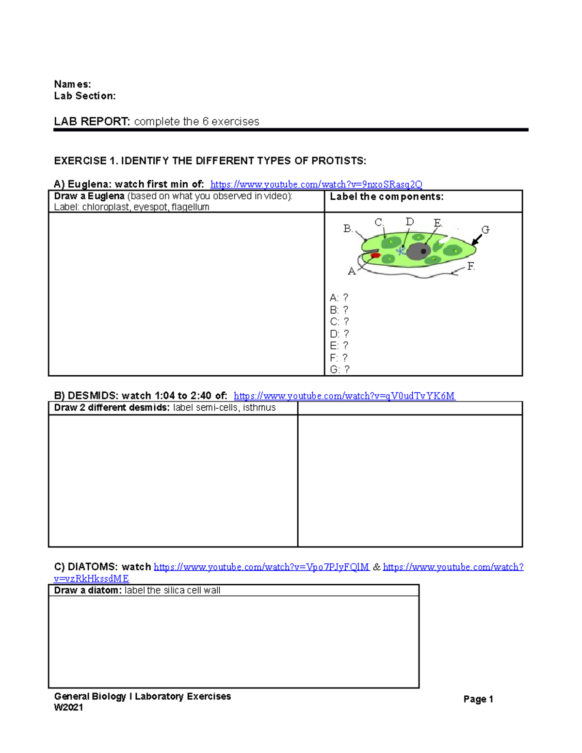 Lab4b - Lab4 - Names: Lab Section: LAB REPORT: complete the 6 exercises ...
