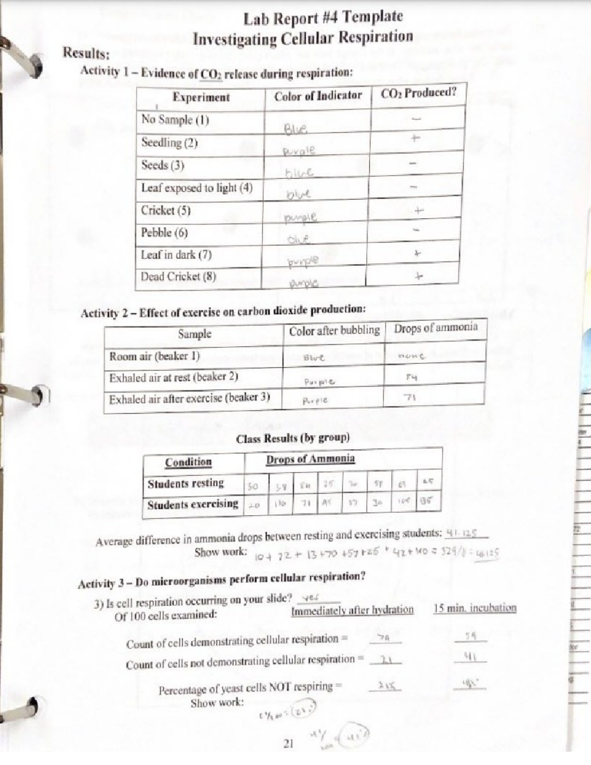 Lab Report 4 - BIO 161 - Studocu