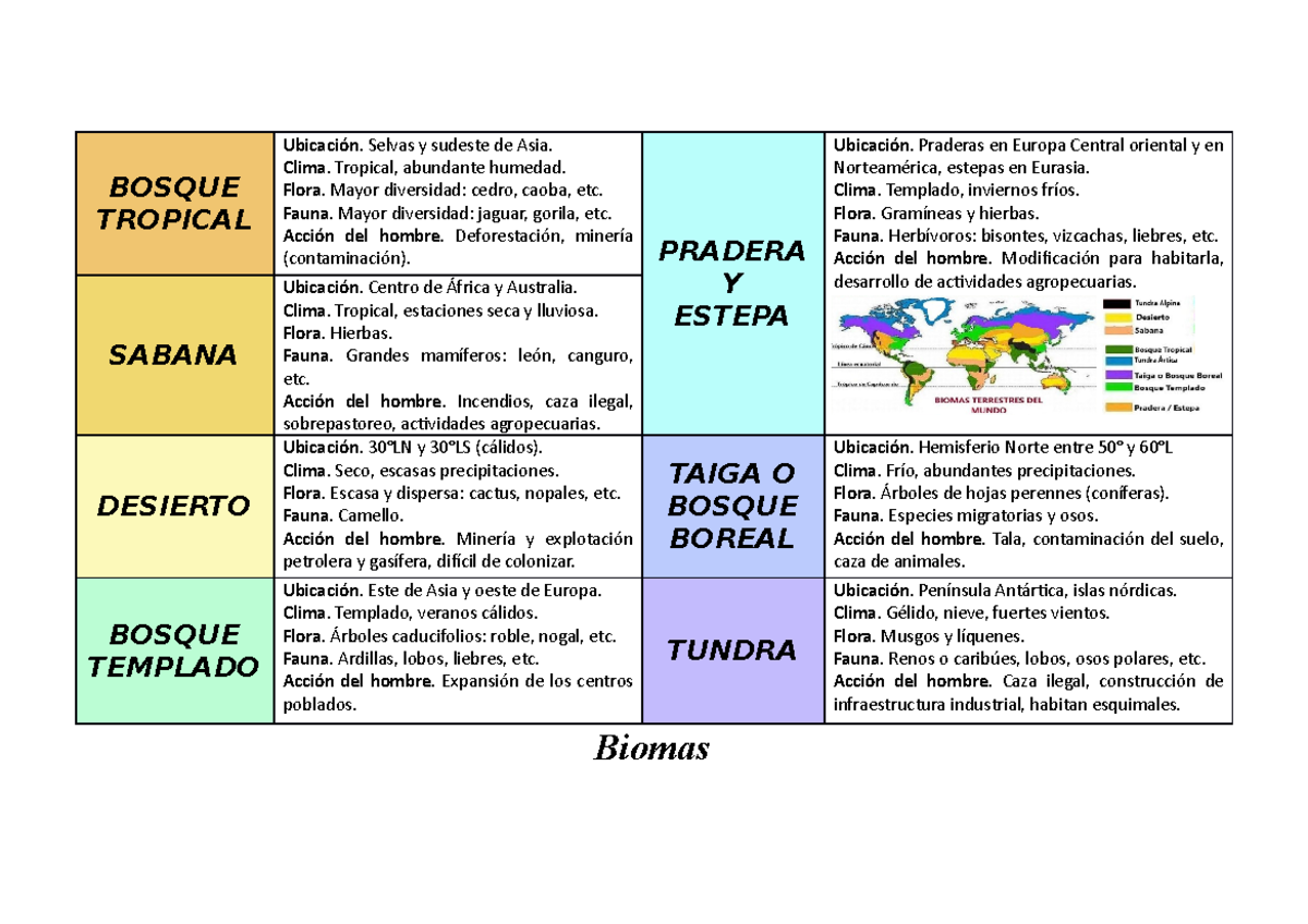 Biomas - BOSQUE TROPICAL Ubicación. Selvas y sudeste de Asia. Clima ...