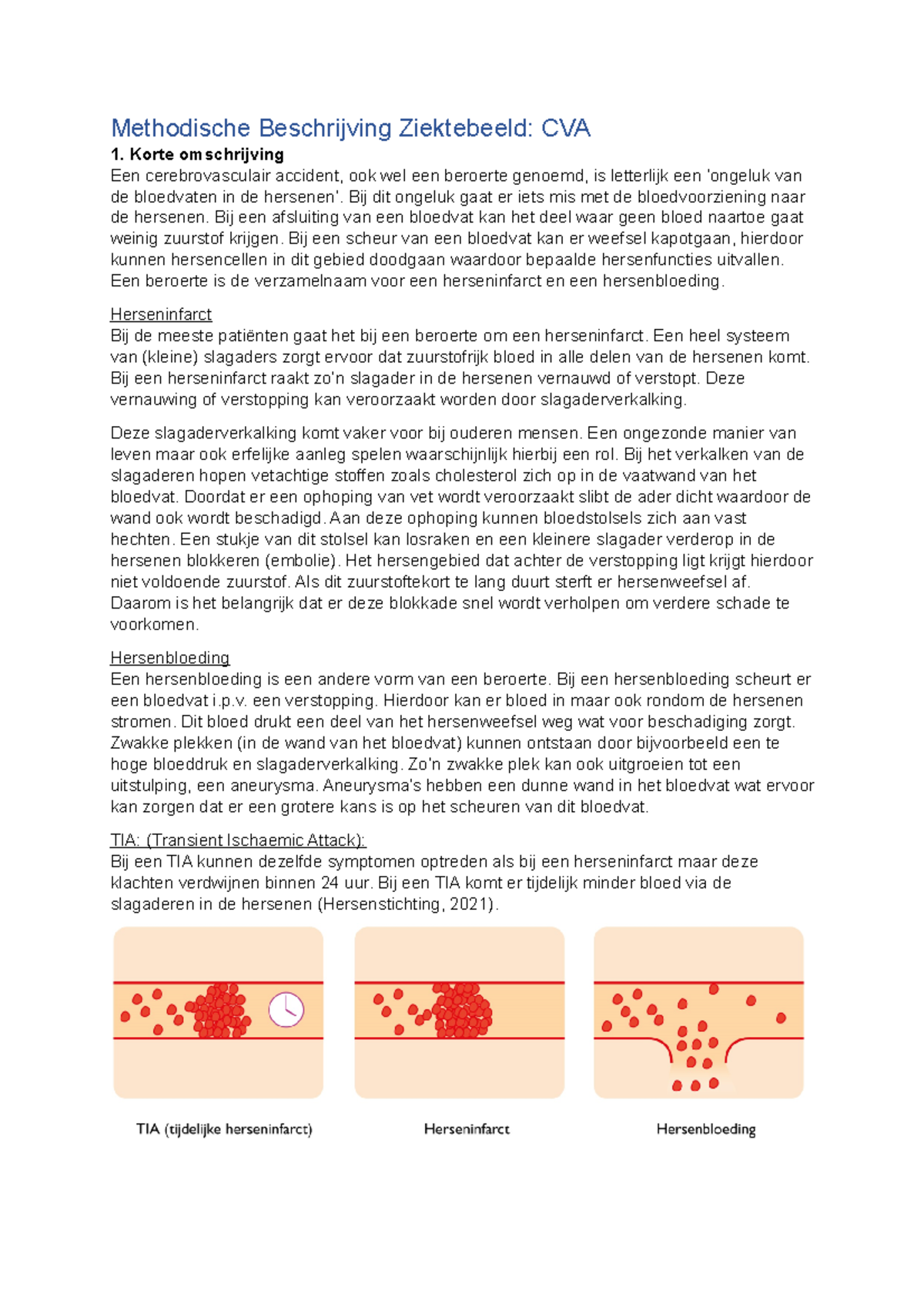 Methodische Beschrijving Ziektebeeld - Bij dit ongeluk gaat er iets mis ...