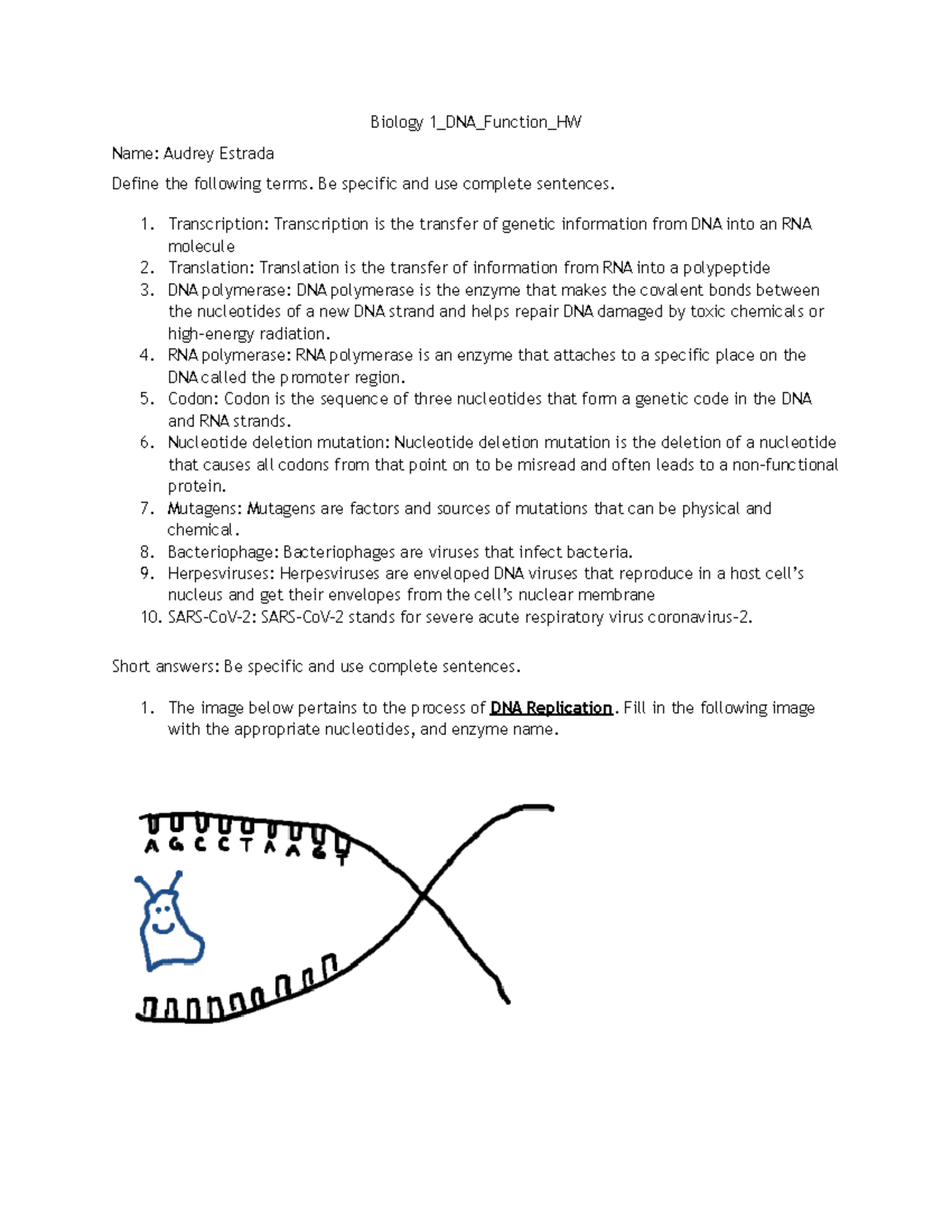BIO HW Protein Synthesis - Biology 1_DNA_Function_HW Name: Audrey ...