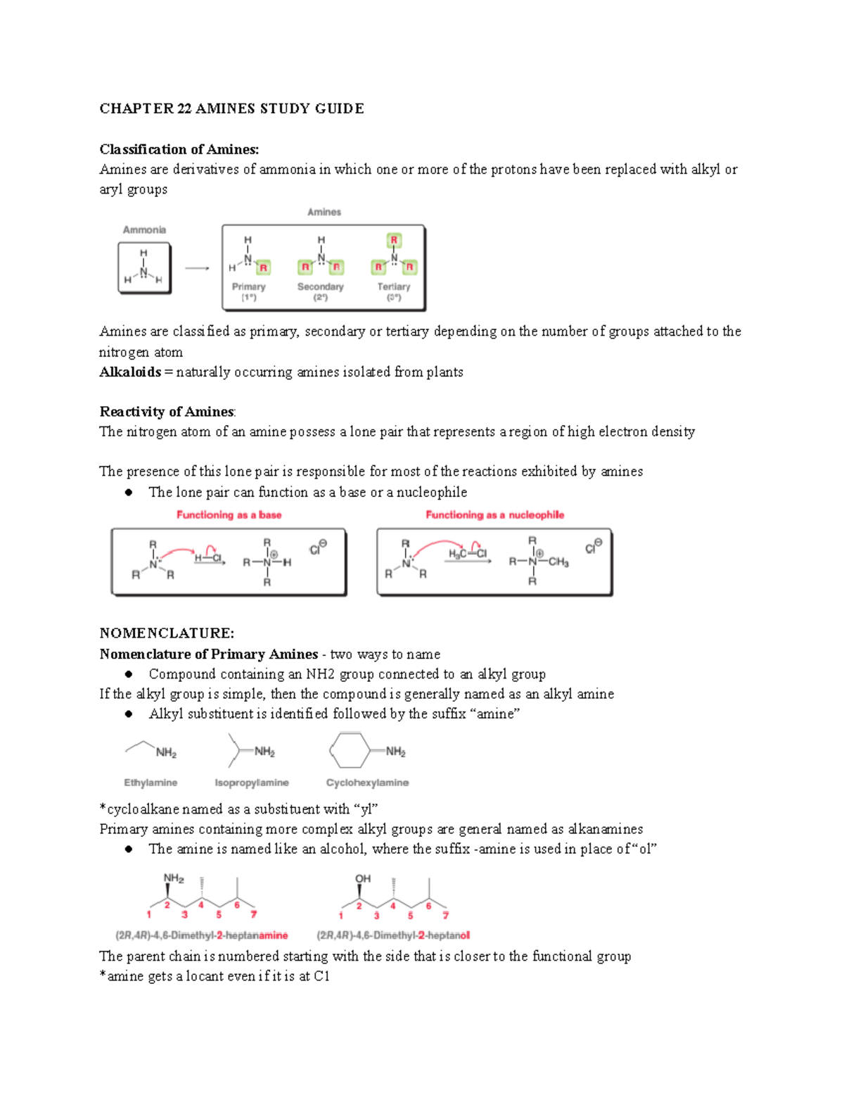 Chapter 22 Amines - Professors: Todd and Clements This study guide ...