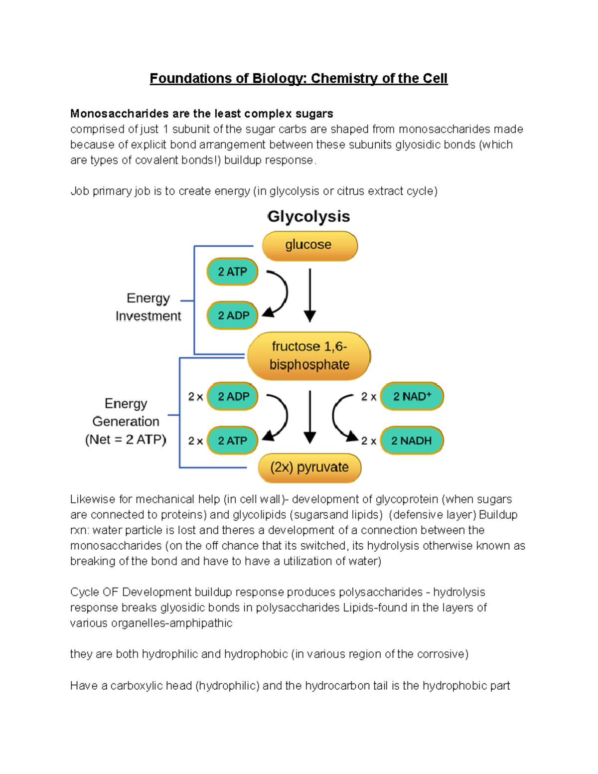Foundations of Biology Chemistry of the Cell - Foundations of Biology ...