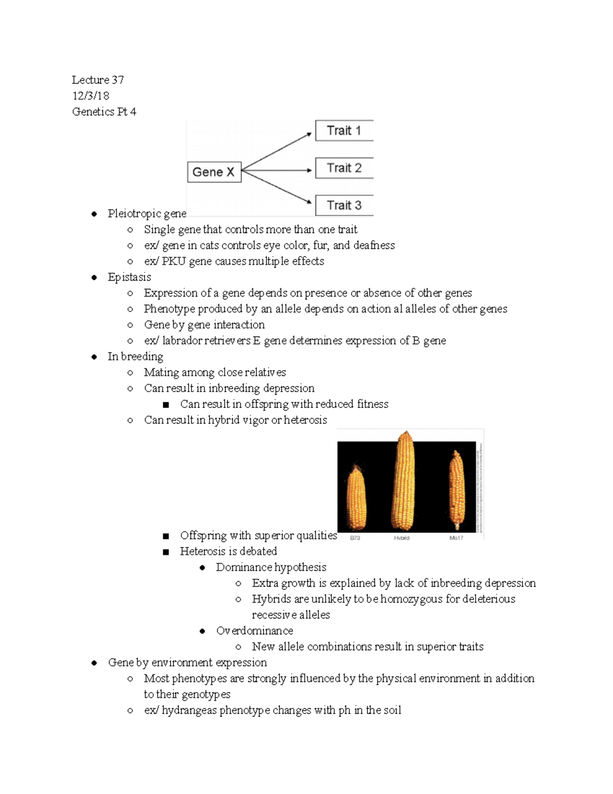 Bio 1 Lec 37 - Lecture notes 37 - Lecture 37 12/3/ Genetics Pt 4 ...